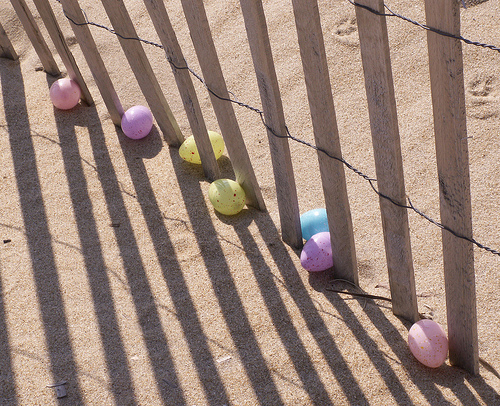 Easter Special - Bald Head Island NC - townofbaldheadisland.com